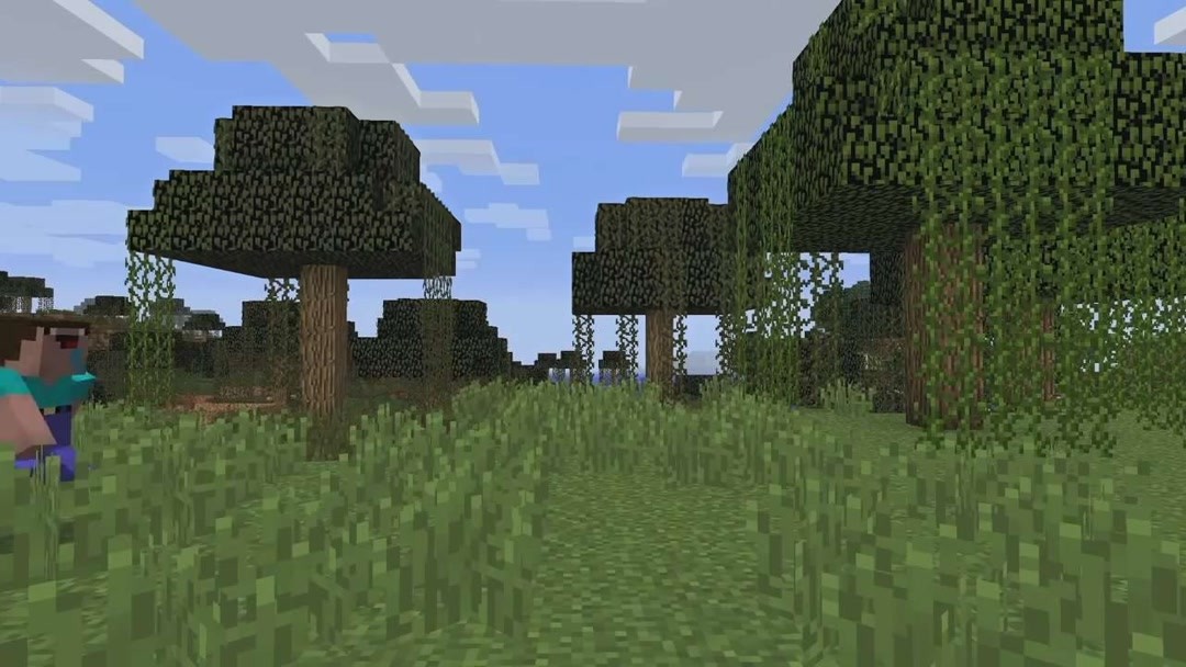 我的世界:这个地方感觉好熟悉啊,可以吗!