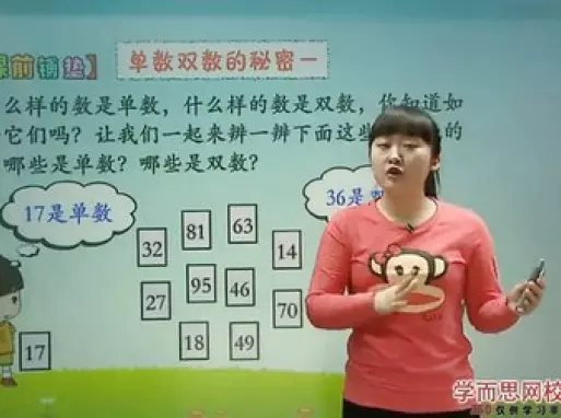 (1)单数与双数知识点1