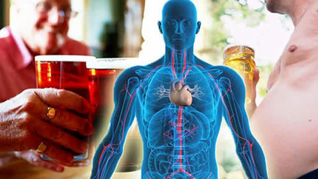 酒精在人体内有多可怕?3D动画演示全程,看完还想喝吗?
