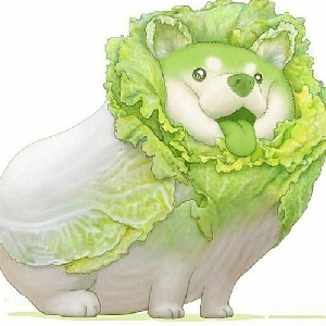 脆苟 