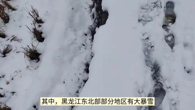 暴雪橙色预警!黑龙江等地将迎来大到暴雪