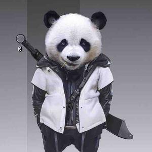 万能的竹竿 