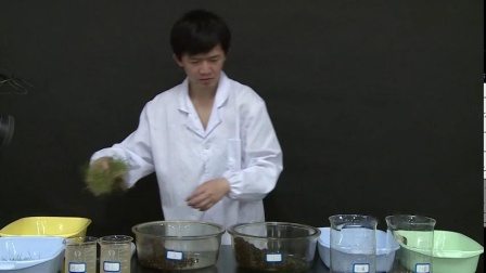 p11-实验探究十一 探究小型生态系统的稳定性.flv