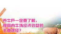 养牛户一定要了解,提高肉牛场经济效益的主要途径?