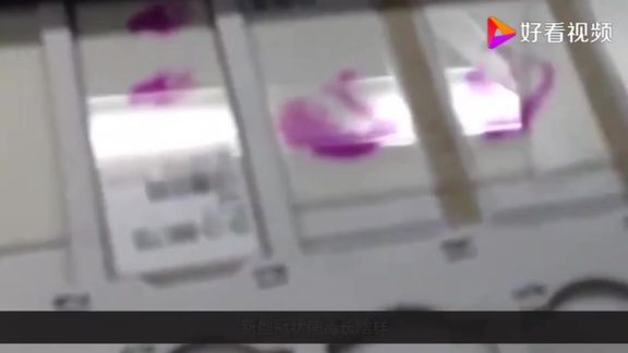 新型冠状病毒张啥样