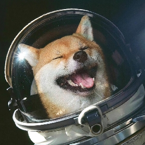 吹疯稽