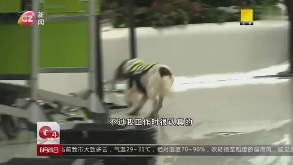 国际禁毒日到来,广州市开展宣传活动,“好累”展风采
