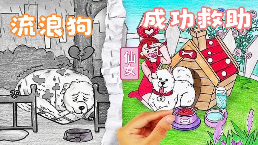 有趣的动画,小美救助一只流浪狗,帮它打造房子!