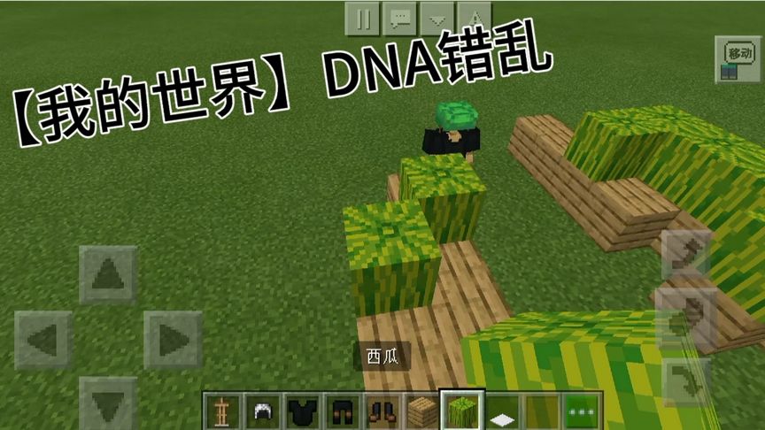 【我的世界】DNA错乱