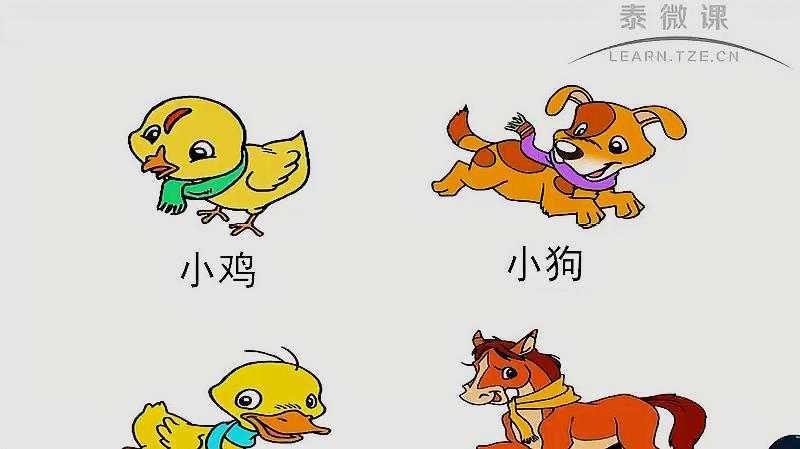 了解小动物脚印的不同形状