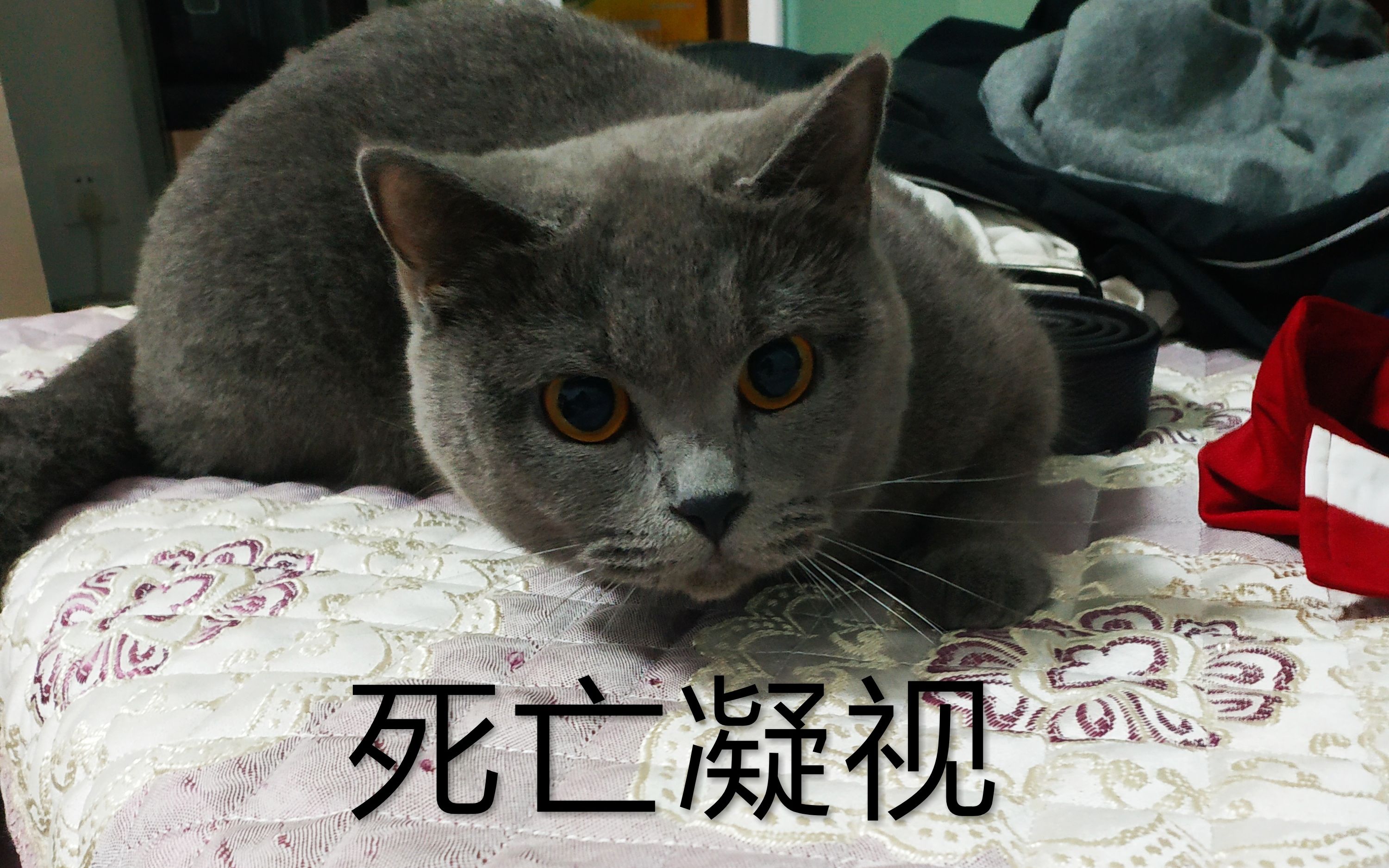 9.15大秘境娱乐 高兴转圈圈 19+[强韧 易爆 暴怒 折磨]