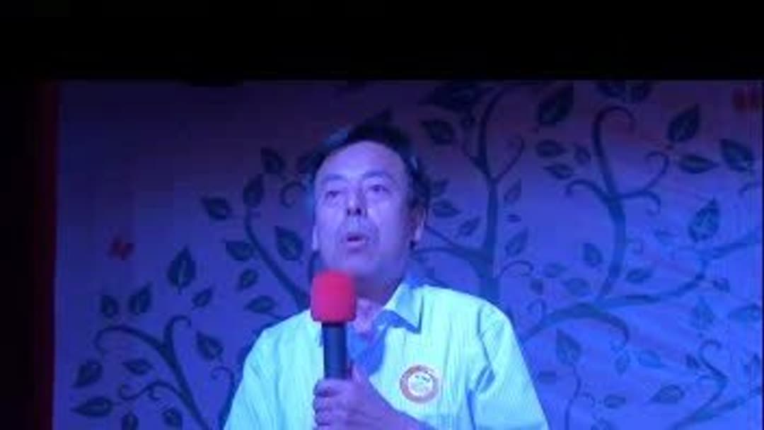 木制品流通协会平安树定制板材绿色木业商业模式发布会