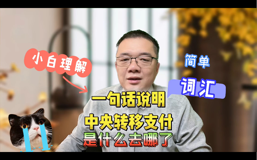 中央转移支付是什么?去哪了?