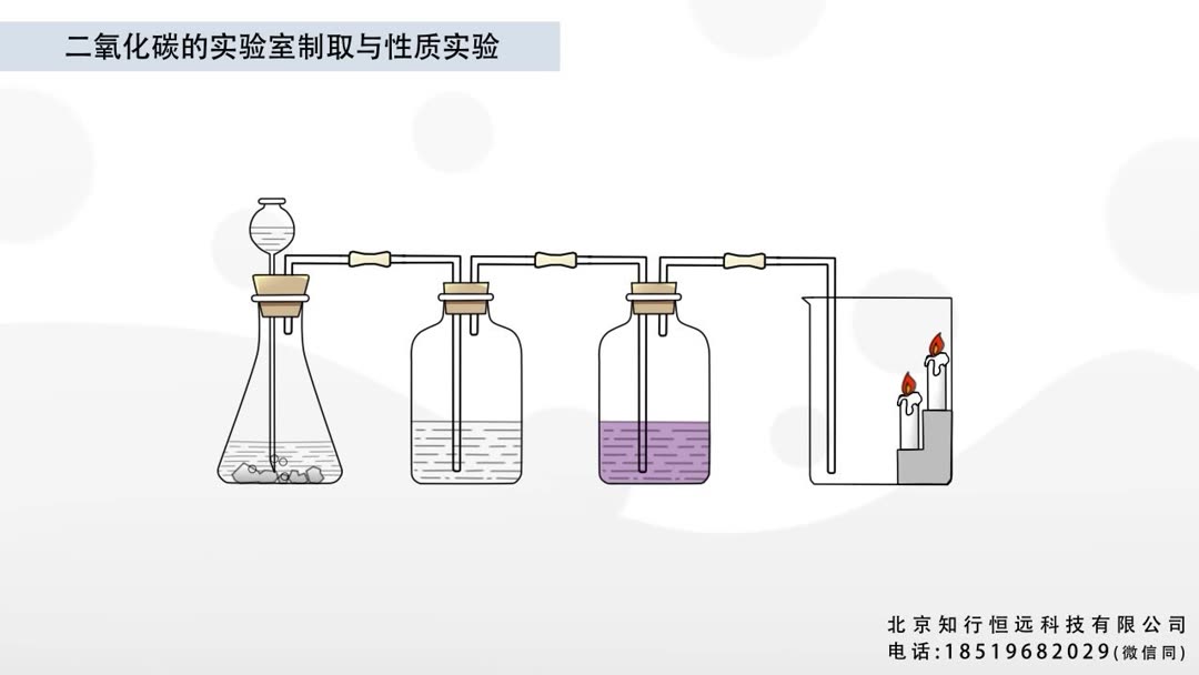 二氧化碳制取与性质化学实验--动画演示视频