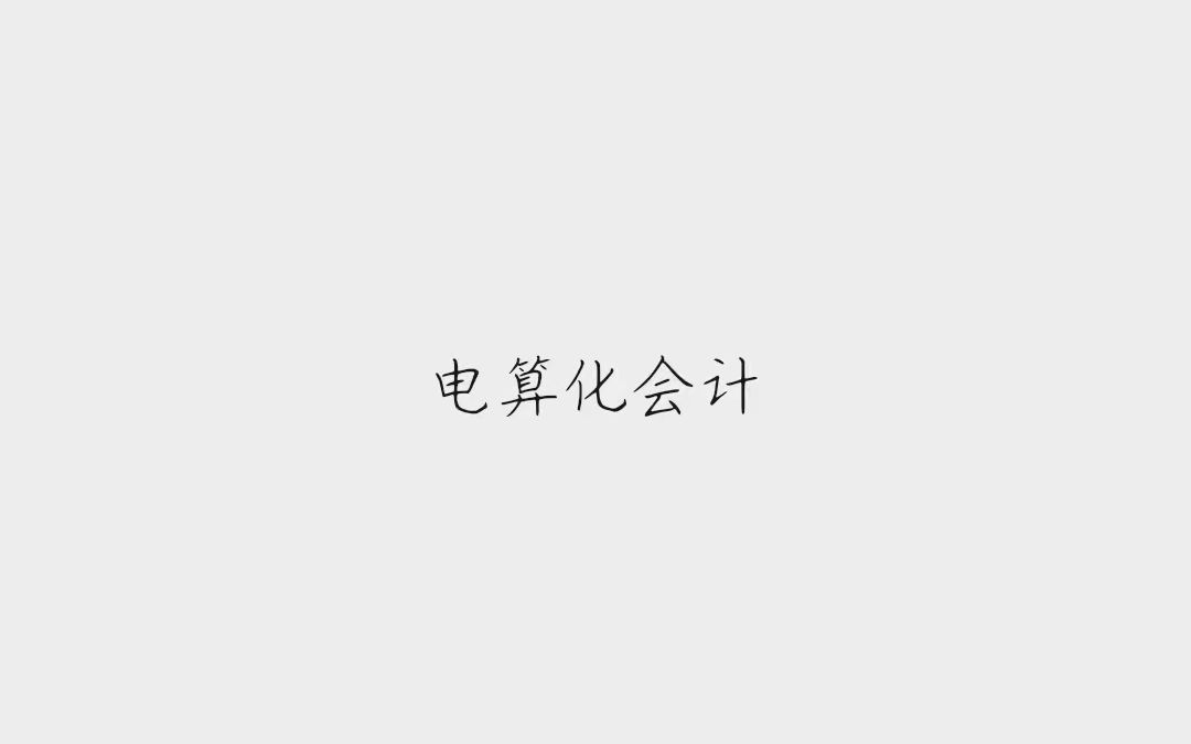 电算化会计 8