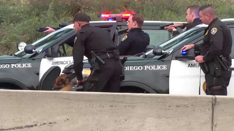 美国警察就是“阔气”,抓个小偷都这么大场面!