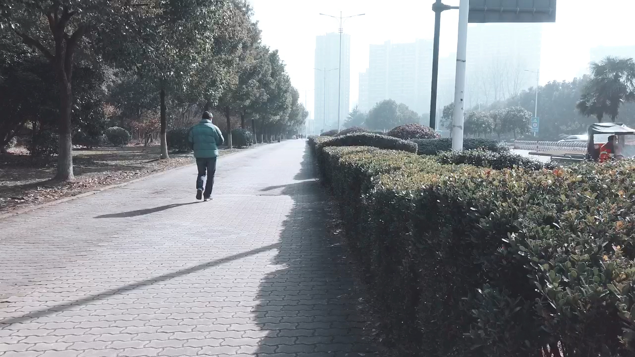 /每日一拍/ 第一次感受DJI Mimo 野生剪辑 很简单 还可以哈