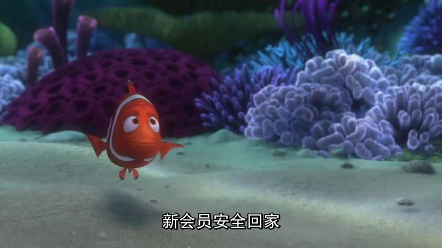海底总动员:儿子要去经历风雨,老爸鼓起勇气,不舍和儿子告别
