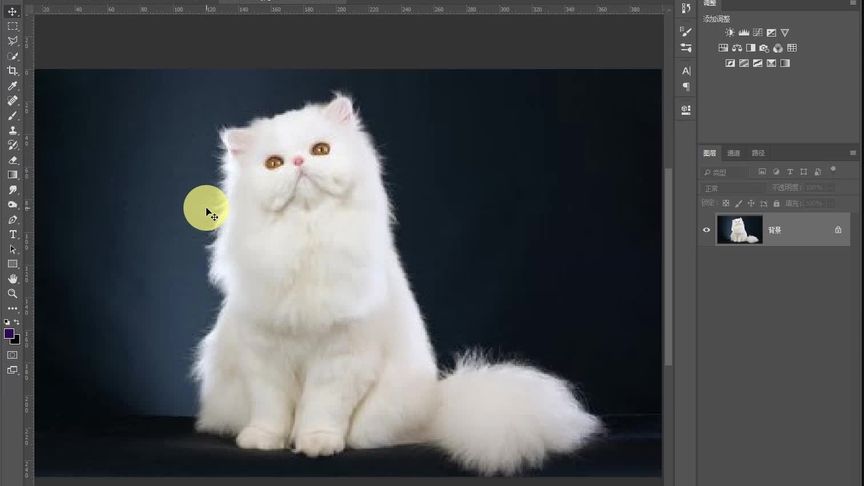PS教程-PS如何快速抠出毛发物体