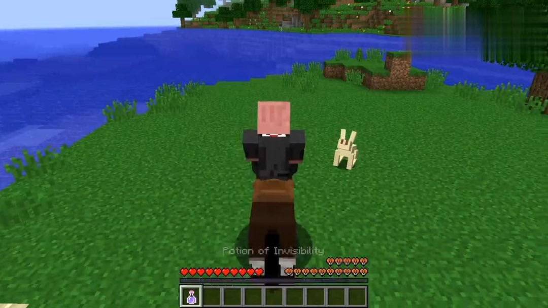 我的世界:马的6个秘密,这一个命名牌下去,反了!