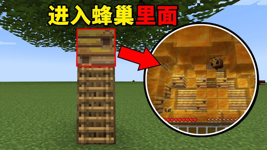 我的世界:蜂巢里面原来是这个样子!教你如何进入蜂巢!