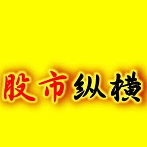 股市纵横 