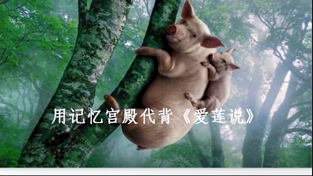 教你用记忆宫殿,10分钟速记《爱莲说》