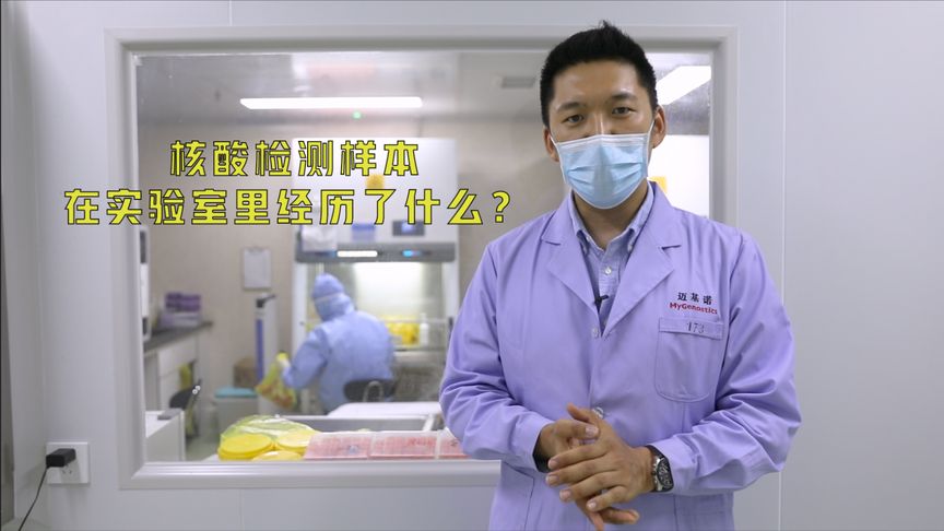 核酸样本如何进行检测?记者实地探访北京核酸检测实验室