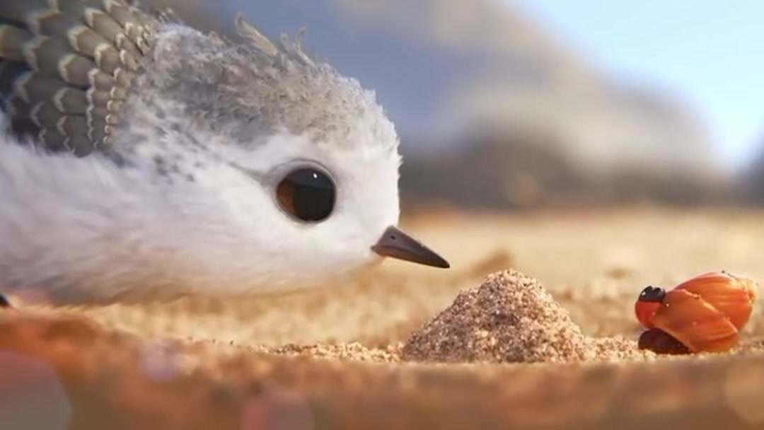 高清完整(片尾彩蛋)动画短片《鹬》