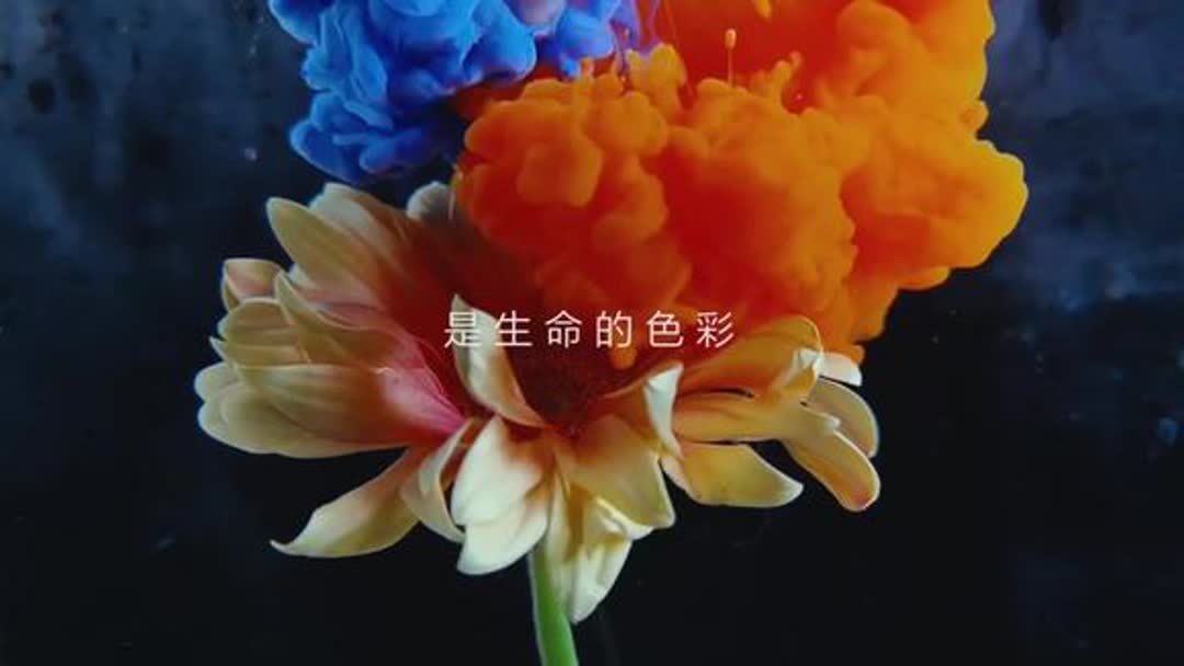 今天是2020世界环境日,守护自然,世界远不止你想象#六五环境日