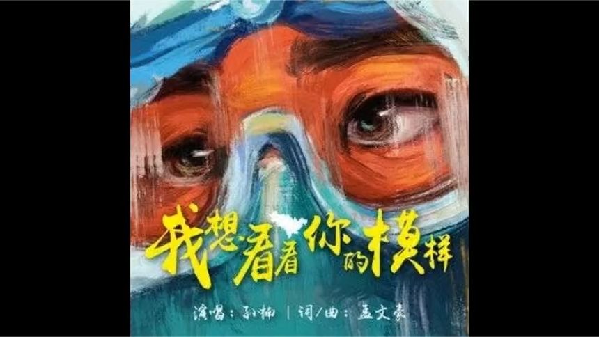 孙楠-我想看看你的模样,哭了,向抗疫一线医务人员与志愿者致敬