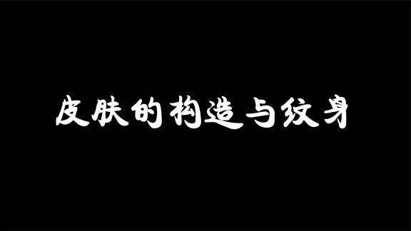 皮肤的构造与纹身