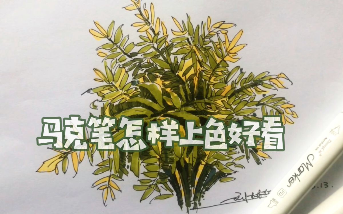 钢笔画线稿绿植速写,记录马克笔上色画法步骤,这样画就不难了