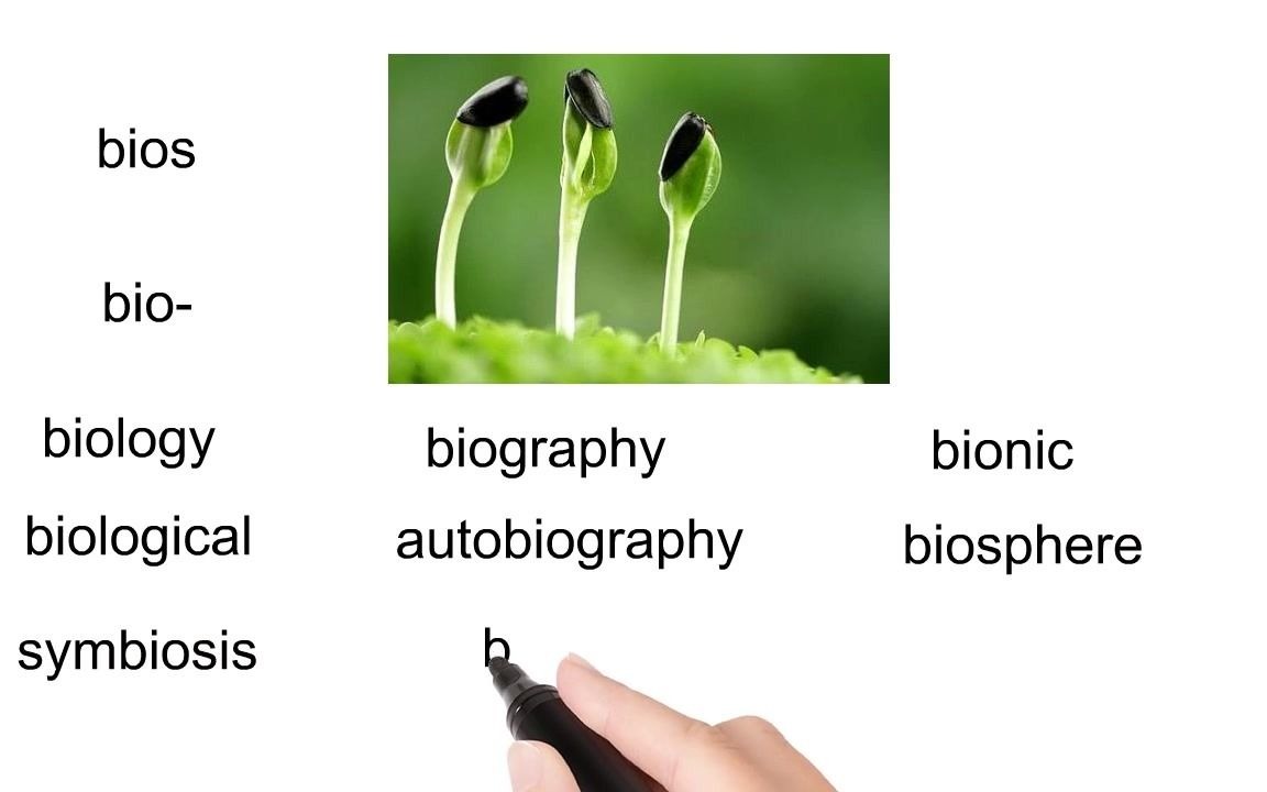 学英语 词源知识之bios生命 英语单词