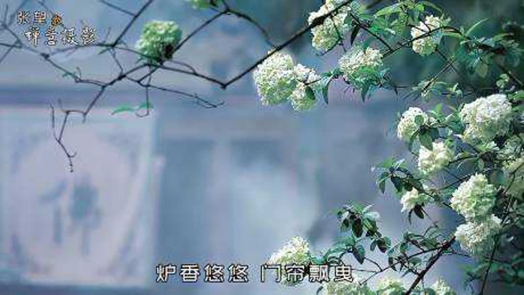 在摄影创作中,构图的画面该如何取舍?听完这个你就懂了