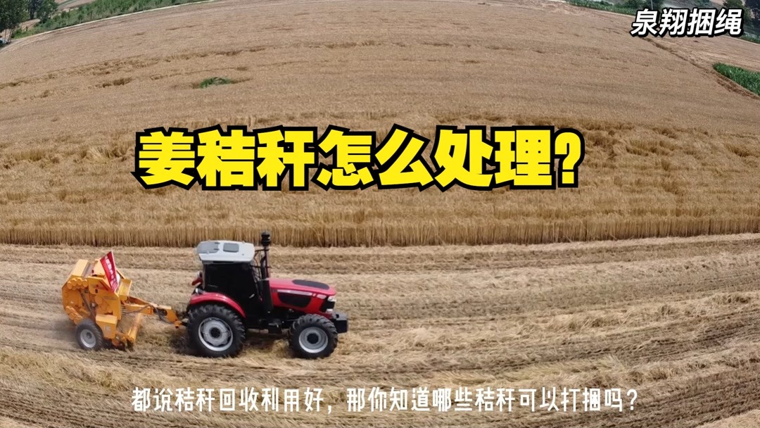 秸秆有什么用处你知道吗?这个用途你绝对不知道