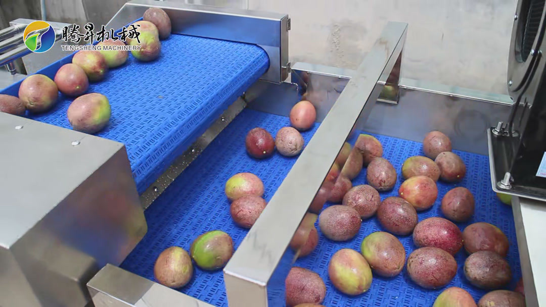 果蔬清洗阶梯风干分选生产线