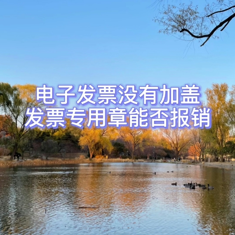 电子发票没有加盖发票专用章能否报销