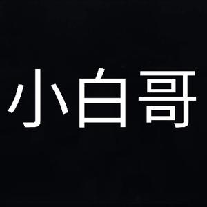 河南小白哥 