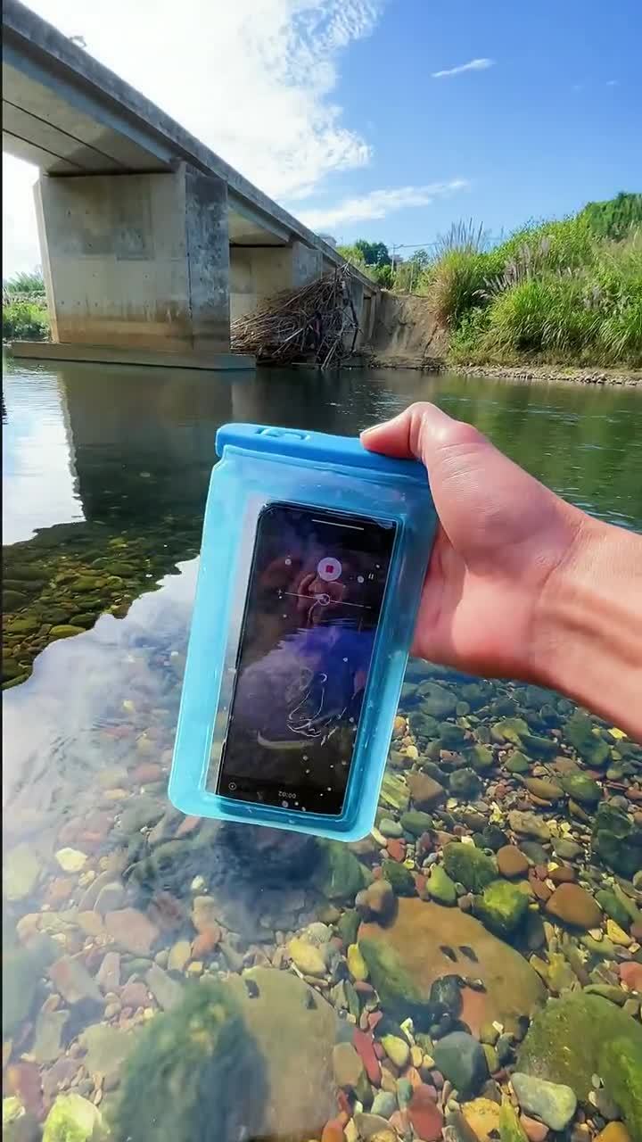海底世界这样拍,手机摄影