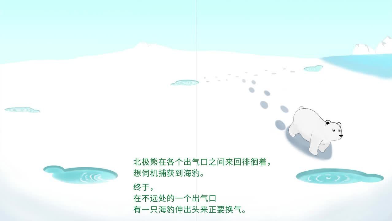 金色童年之老树新丫经典童话系列 第7集 北极熊的守株待兔