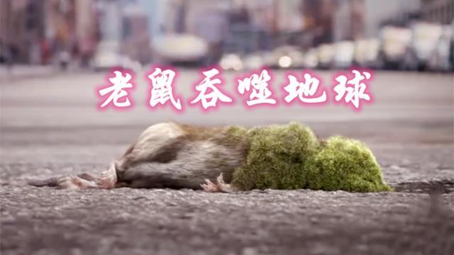 老鼠误食发霉果子,身体长出怪异绿植,疯狂蔓延毁灭地球!
