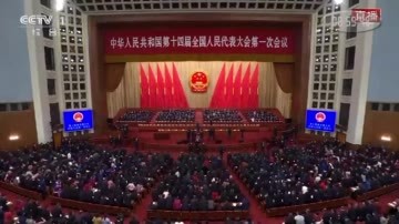 十四届全国人大一次会议开幕 习近平等党和国家领导人出席开幕会