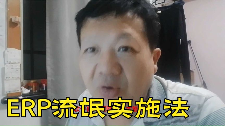 ERP流氓实施法