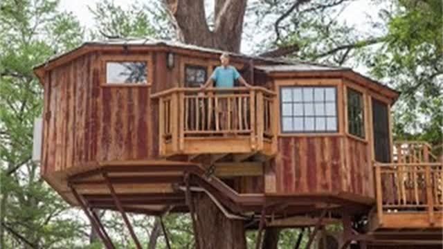 外国小哥的野外大冒险,森林里用木头建造最别致的房屋