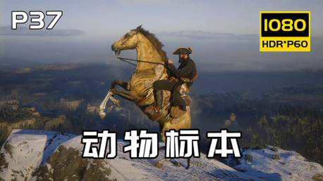 史上第二肝任务,3星动物标本搜集攻略,建议收藏!荒野大镖客2