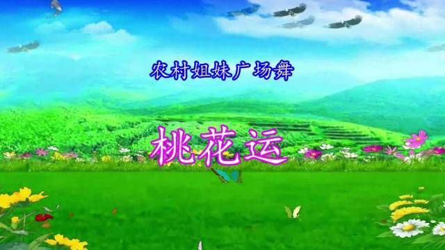 情歌对唱广场舞《桃花运》歌词幽默风趣,舞蹈优美好看,简单好学