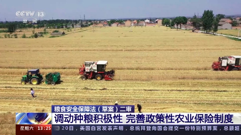 ...粮食安全保障法(草案)二审 调动种粮积极性 完善政策性农业保险制度