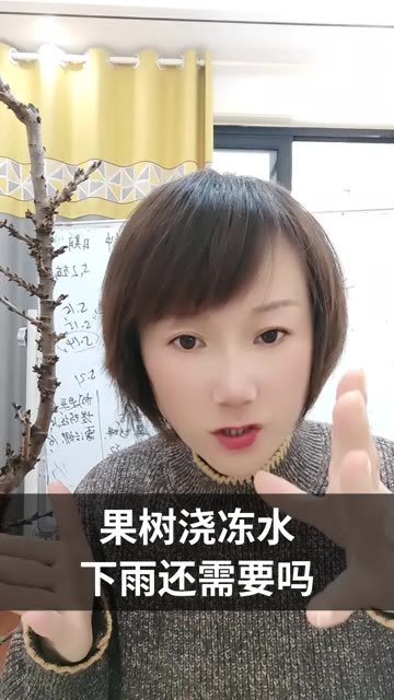 大樱桃种植管理