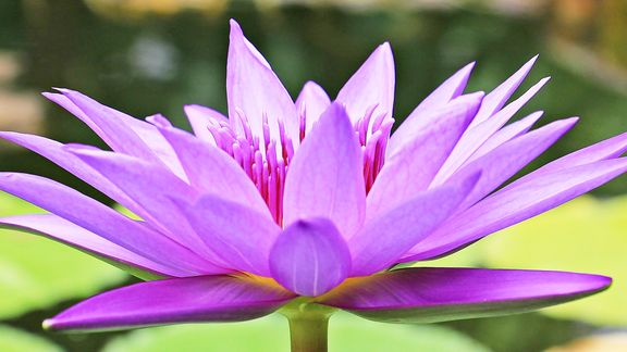 PS合成教程 PS调色教程 PS海报设计